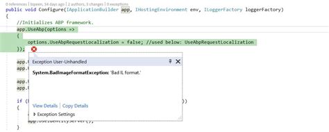 system badimageformatexception bad il format 6539 support center