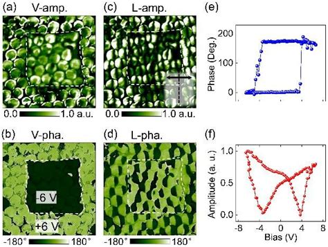 Vectorial Pfm Images Measured On 10 × 10 μm 2 Nanodot Arrays After