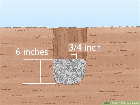 How To Put Up A Trellis Steps With Pictures WikiHow