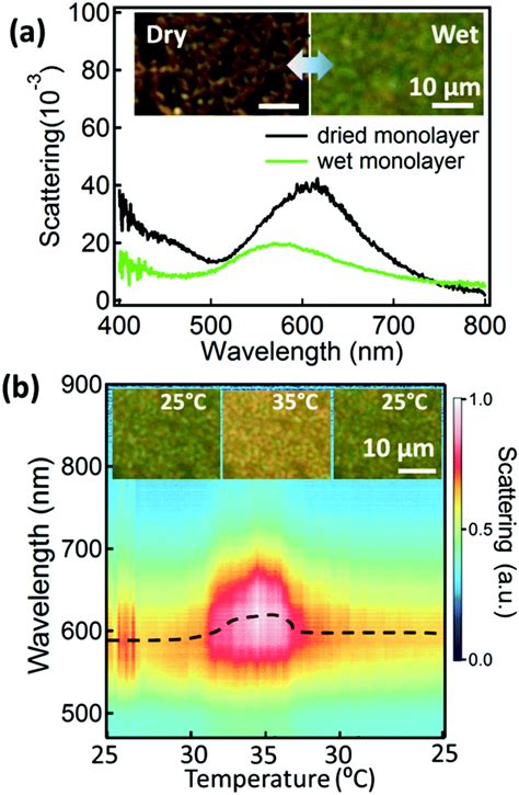 Polymer Assisted Self Assembly Of Gold Nanoparticle Monolayers And
