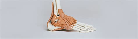 Pa Foot And Ankle Associates 192 Reviews Podiatrists In Easton Pa