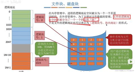 操作系统——文件在外存中的分配方式（王道视频p61 P62）文件的分配方式王道 Csdn博客