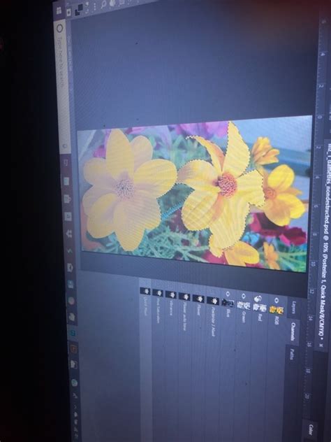 My Assignment Is To Create A Image And Isolate It Chegg