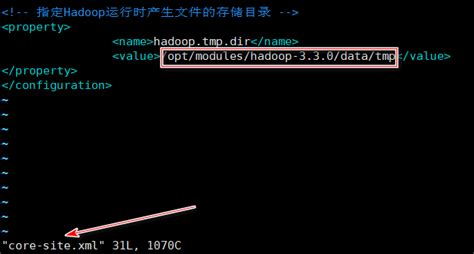 Hadoop集群启动后jps缺少namenode wansiqi 博客园