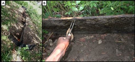 Figure S Photographs Illustrating The Various Sampling Methods Used Download Scientific