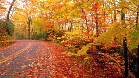 [100 ] Fall Nature Wallpapers