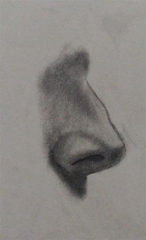How To Draw Side View Of Nose
