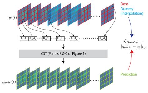 Diagram Of Cst Spatiotemporal Encoding For Calcium Imaging Recordings