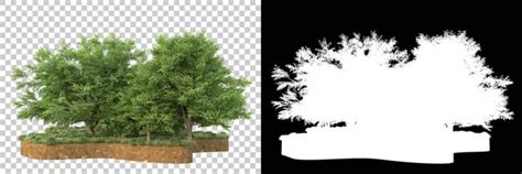 Enscape Se Queda En Exportando Materiales Stock Photos Royalty Free Enscape Se Queda En