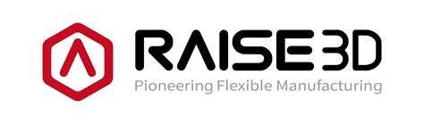 Logo Raise3d Multistation En