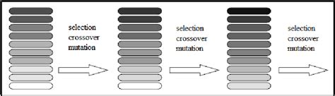 Simple Genetic Algorithm Matthew 1996 Download Scientific Diagram
