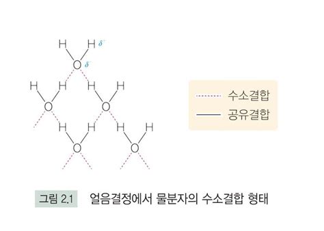 물 분자의 구조 식품영양 위키 Fandom