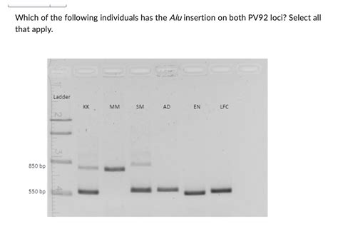 Solved Match The Components Of The Pcr Master Mix With The