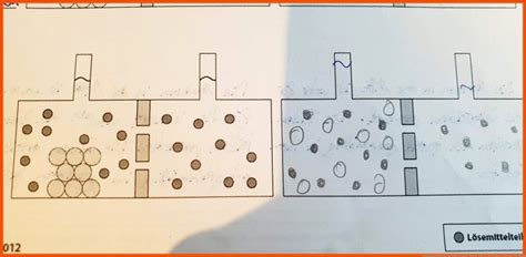 Diffusion Und Osmose Arbeitsblatt Allgemeine Arbeitsblätter