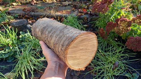 Деревянная бочка из вишни Diy Вишневая бочка Как сделать бочку из