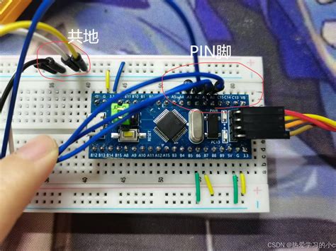 基于江科大stm32的桌宠小狗如何利用面包板 Stm32做一个桌宠小狗 Csdn博客