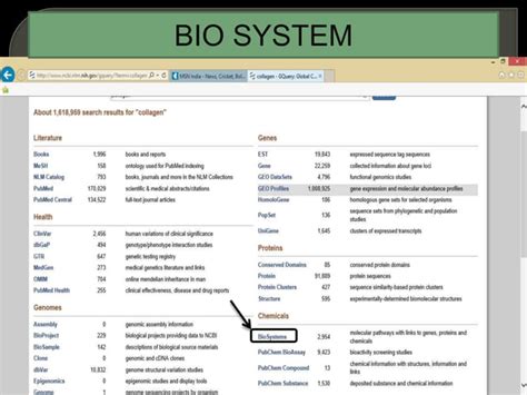 Protein Database Of Ncbi Pptx Databases Computer Software And Applications