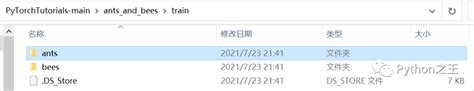 【小白学习pytorch教程】十三、迁移学习：微调alexnet实现ant和bee图像分类 Csdn博客