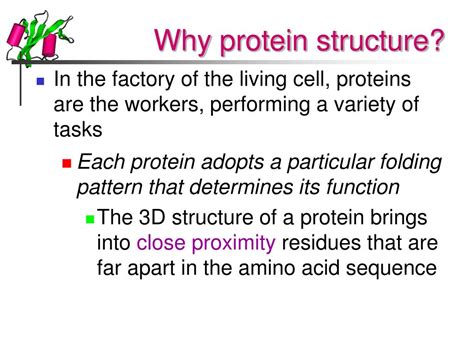 PPT Biomolecular Modeling Building A D Protein Structure From Its Sequence PowerPoint