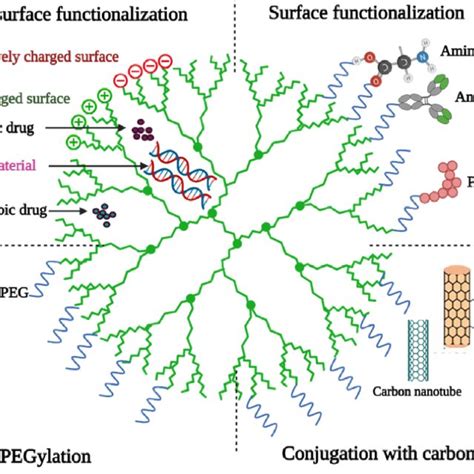 Structure Of Liposomes [25] Created With Download Scientific Diagram
