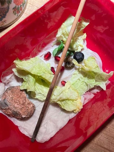 Vilken Larv är Det Som Följde Med Från Affären Fråga En Biolog