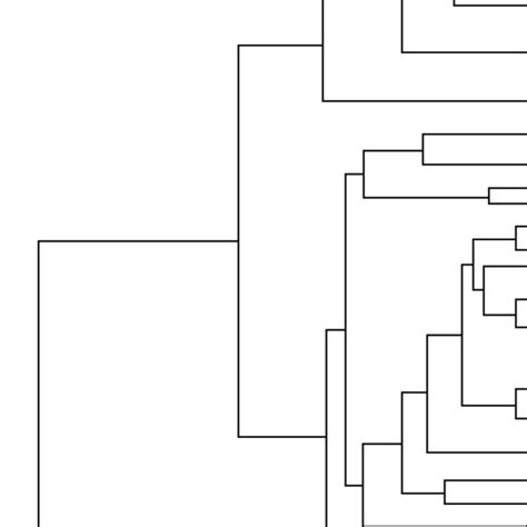 The Genetic Similarity Dendrogram For Pleurotus Ostreatus Constructed Download Scientific