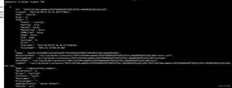 浅谈日常使用的 Docker 底层原理 三大底座docker容器的三大底层技术 Csdn博客