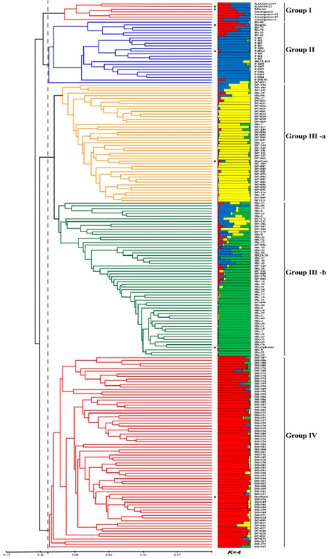 Dendrogram Revealed By Unweighted Pair Group Method With Arithmetic Download Scientific Diagram