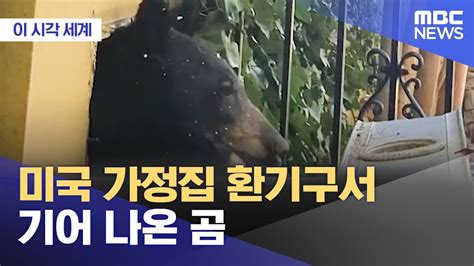 이 시각 세계 미국 가정집 환기구서 기어 나온 곰 20240228뉴스투데이mbc Youtube