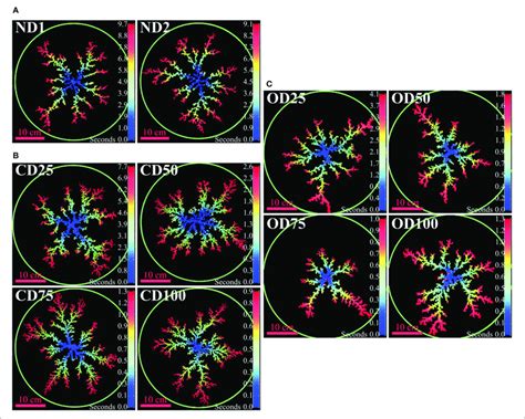 Breakthrough Patterns For The Non Deformable Experiments A