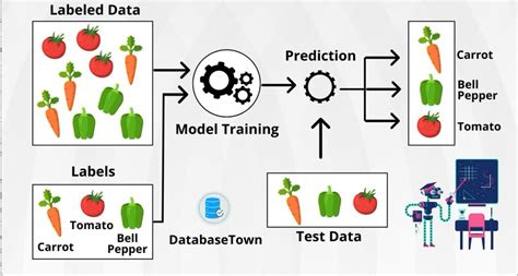 Supervised Learning Vs Deep Learning Vs Reinforcement Learning