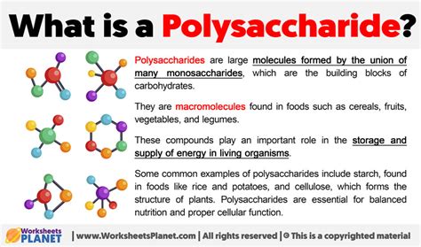 Whar Is A Polysaccharide