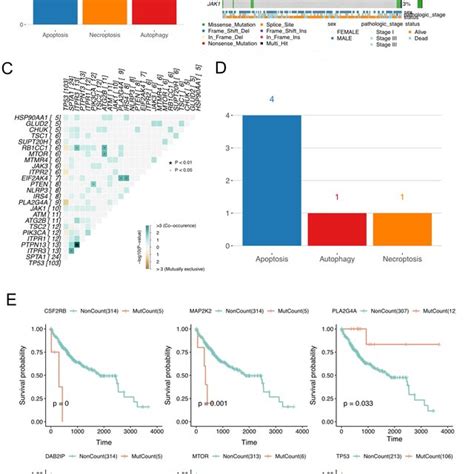 Mutation Characteristics Of Cell Death Related Genes In Hepatocellular