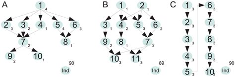the three mutation dependency networks used for simulation nodes