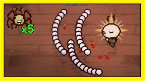 거미 5마리 Youtube