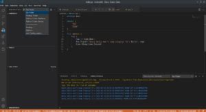 Working With VS Code Launch Configurations Gigi Labs
