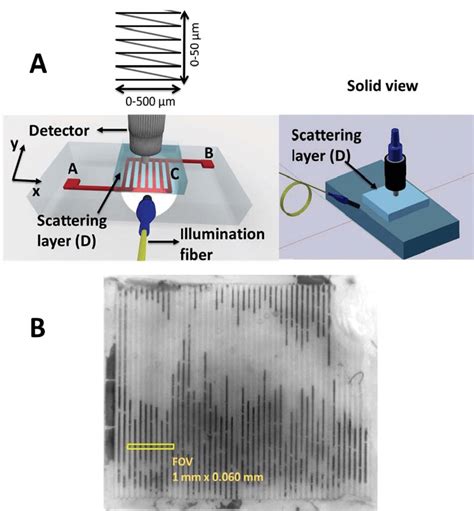 A Experimental Setup Illustrating The Raster Scan Conducted To Collect