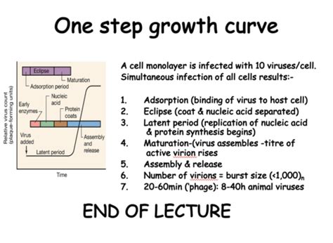 Week 3 Virus Structurefunction Fungi Flashcards Quizlet