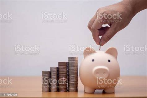 귀여운 돼지 저금통을 손으로 떨어 뜨리고 동전을 가진 분홍색은 돈을 절약하는 아이디어 투자를 배치했다 개념에 대한 스톡 사진 및 기타 이미지 Istock