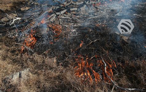 СҮХБААТАР АЙМАГТ ХЭЭРИЙН ТҮЙМЭР ГАРЧЭЭ