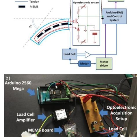 A Schematic Of The Optoelectronic System In A General Block Diagram Of Download Scientific