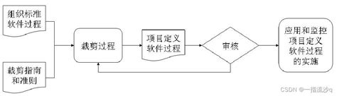 软件过程与管理复习（三）软件组织过程的焦点活动 Csdn博客