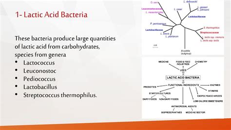 Introduction FOOD Microbiology MEDI ppt download