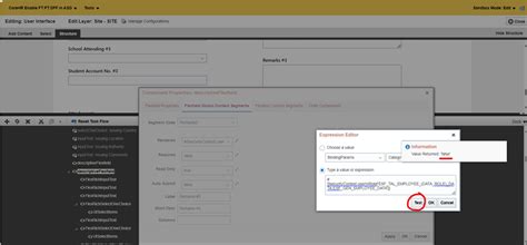 Hiding A Dff Segment In Document Records But Still Showing Up — Cloud Customer Connect