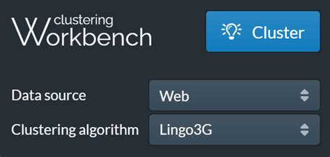 Clustering Workbench Lingo3g Docs