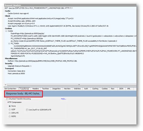 Response Compression With Custom Servlet Filters PeopleSoft Mods