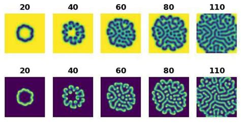 Finite Difference Solutions Of The Gray Scott Model At Time Instants