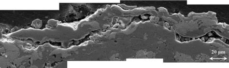 Sem Cross Section Of The 50 Wc Cocr Composite Coating After 5 H
