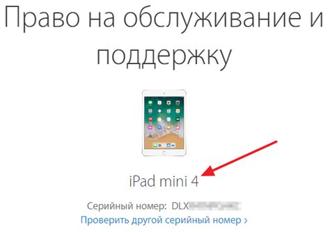 Как узнать какой у меня Айпад модель Ipad
