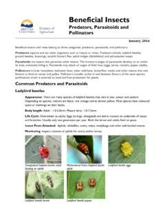 Beneficial Insects - Predators, Parasitoids and Pollinators ...